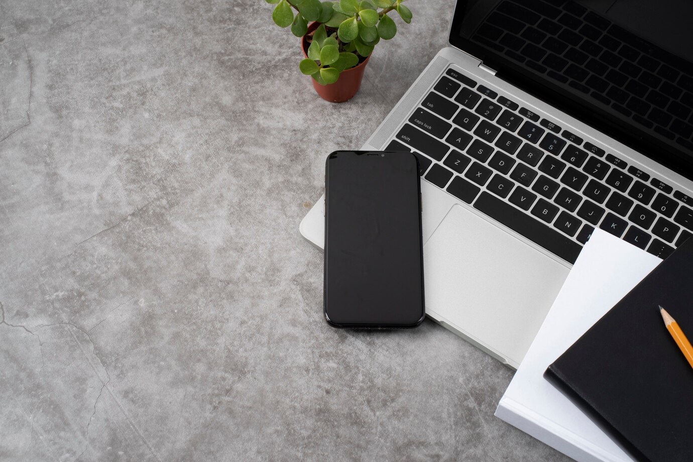 Project Manager, ассистент руководителя (отдел R&D) (г. Одесса) - Blue Bird